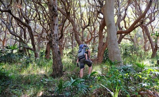 14 Best Things To Do In Forster, New South Wales - NSW Footsteps