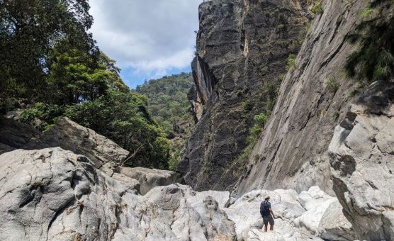 14 Incredible Hikes In NSW (From Coast To Mountains!) - NSW Footsteps