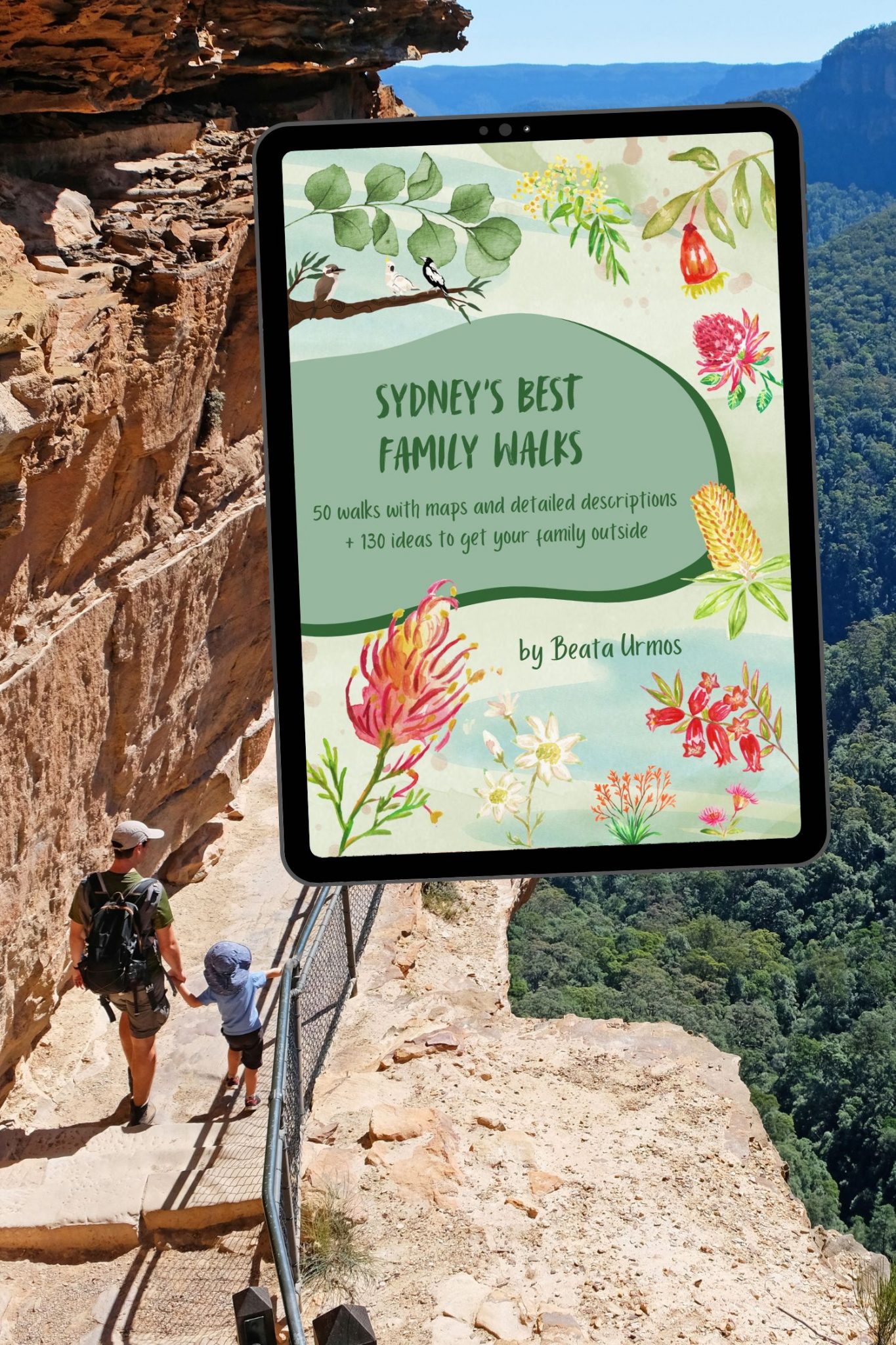 Forests In Sydney: 10 Amazing Walks - NSW Footsteps