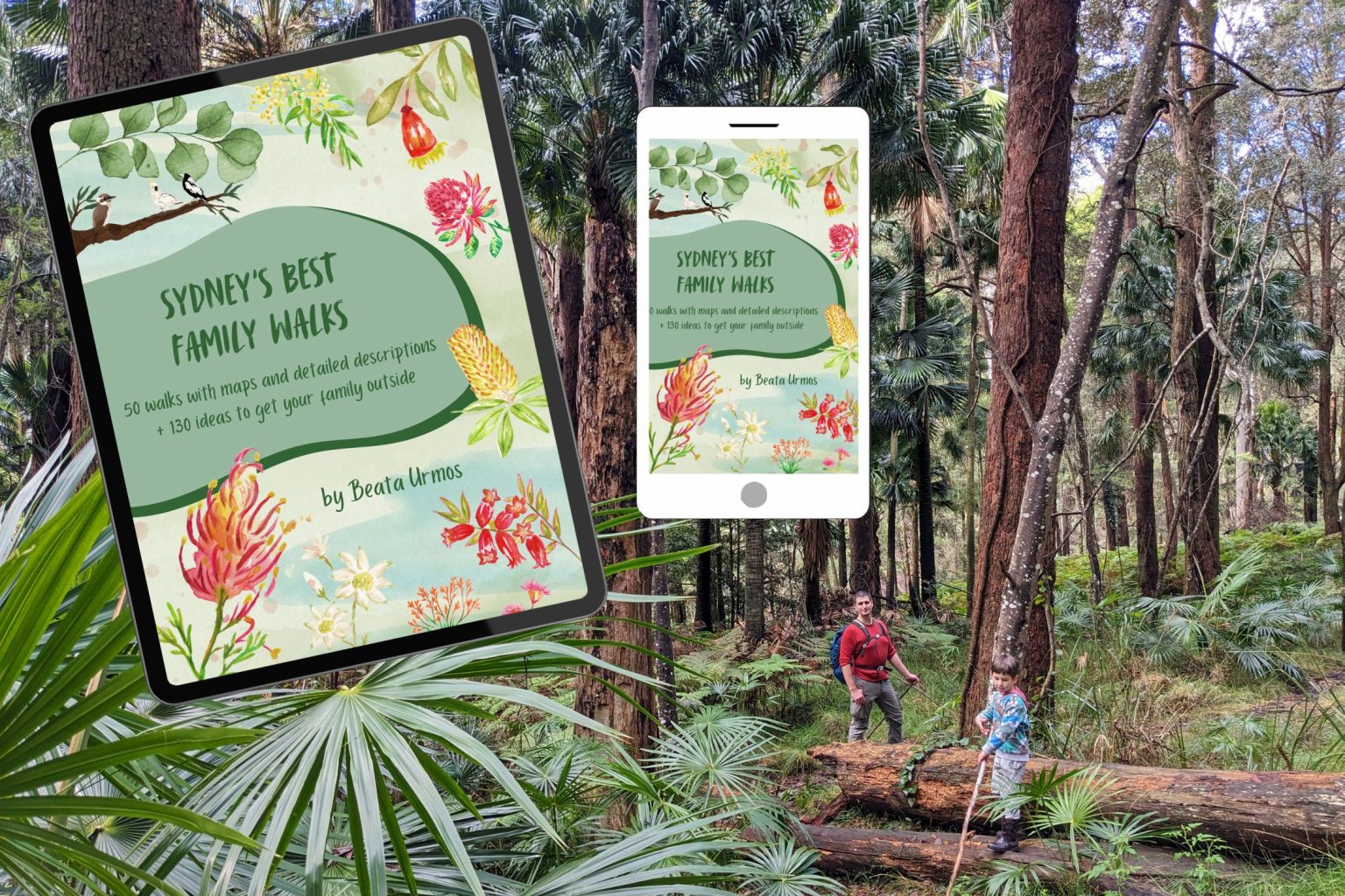 Forests In Sydney: 10 Amazing Walks - NSW Footsteps