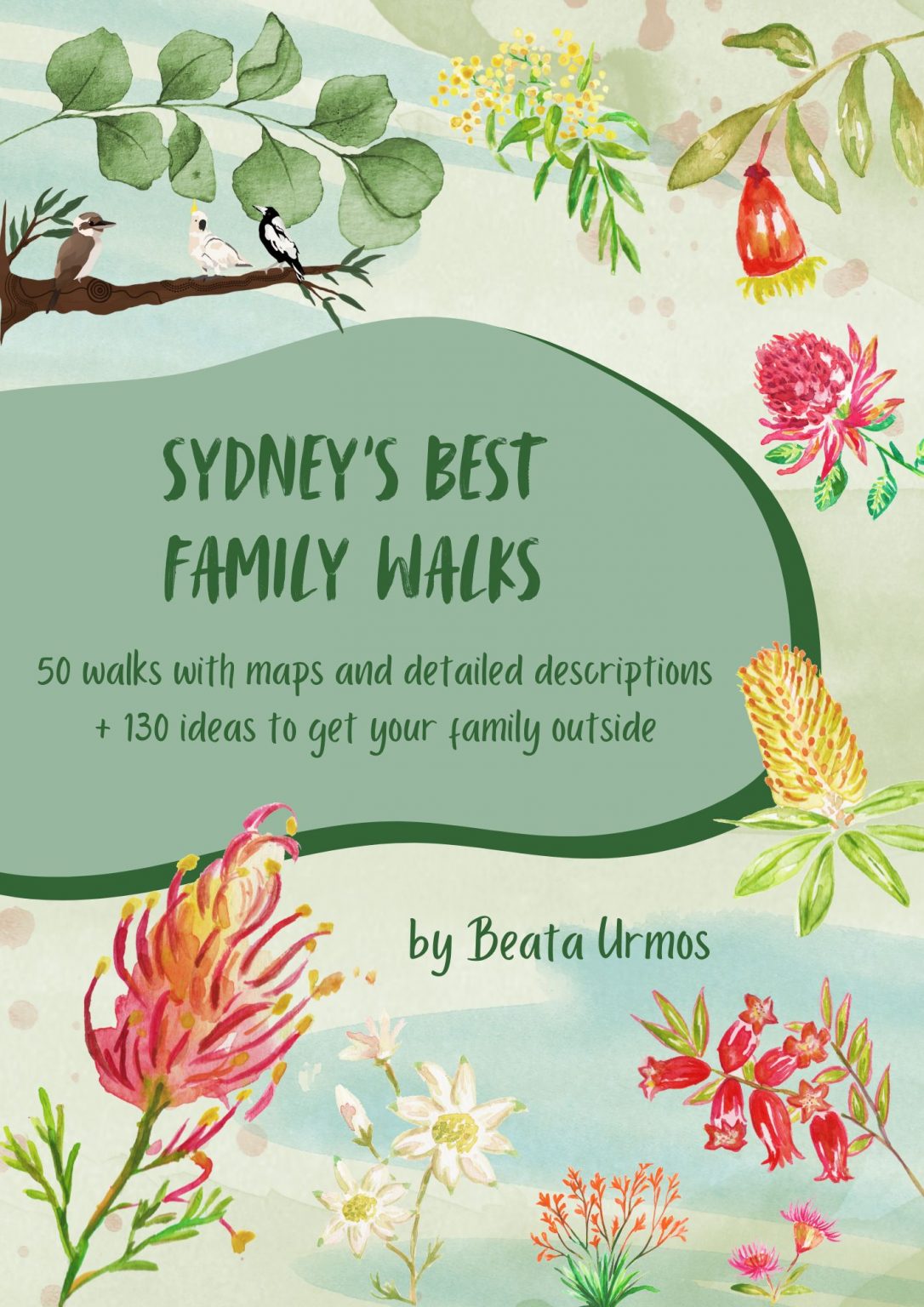 Forests In Sydney: 10 Amazing Walks - NSW Footsteps